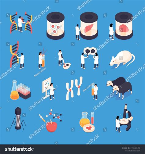 Isometric Genetic Engineering Set Scientists Lab Stock Vector Royalty