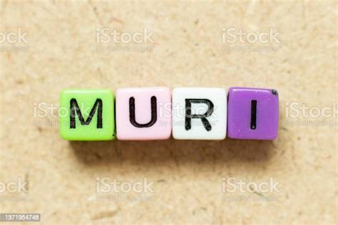 나무 배경에 단어 Muri에 색상 알파벳 문자 블록 Kaizen에 대한 스톡 사진 및 기타 이미지 Kaizen 감소 개발