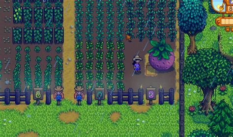 My First Ever Giant Melon Im Super Proudexcited Rstardewvalley
