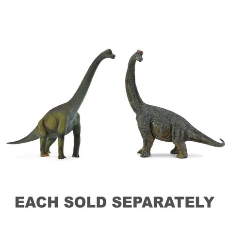 Collectible Collecta Brachiosaurus Dinosaur Action Figure For Ages 3