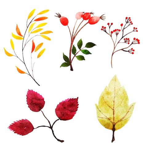 Premium Vector Beautiful Watercolor Autumn Leaves Collection