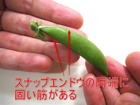 スナップエンドウの下処理のやり方♪【筋の取り方から色止めまで】｜くぅのおうち居酒屋