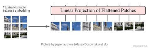 ViT结构详解附pytorch代码 CSDN博客