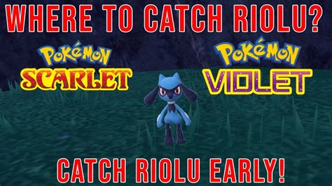 How To Get Riolu Early In Pokémon Scarlet And Violet Youtube