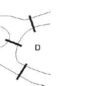 Königsberg Bridge Problem 9 Download Scientific Diagram