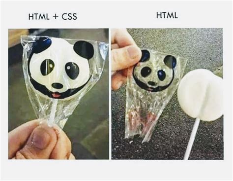 Any CSS Lover R ProgrammerHumor