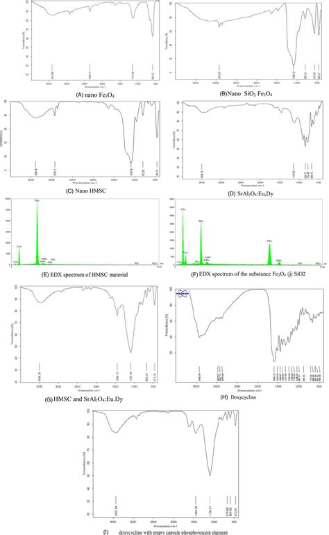 synthesis and characterization of hollow mesoporous silica