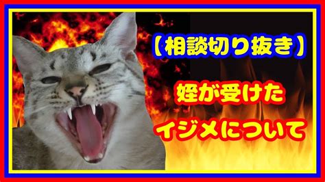 姪が受けたイジメについて【相談切り抜き】 Youtube