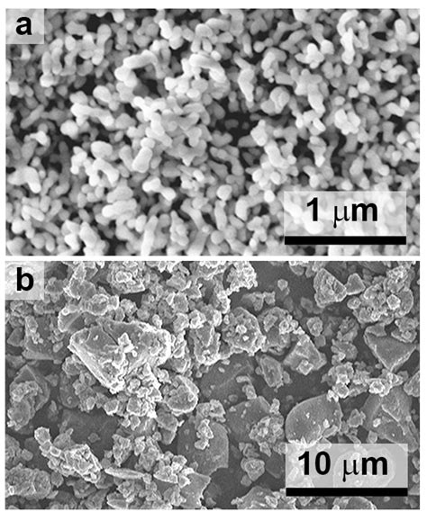 Scanning Electron Micrographs Of Two Different Crystalline α Tcp