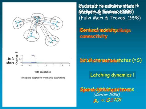 Sissa Limbo Cortex And Language December 7 35 15 15 To Ppt