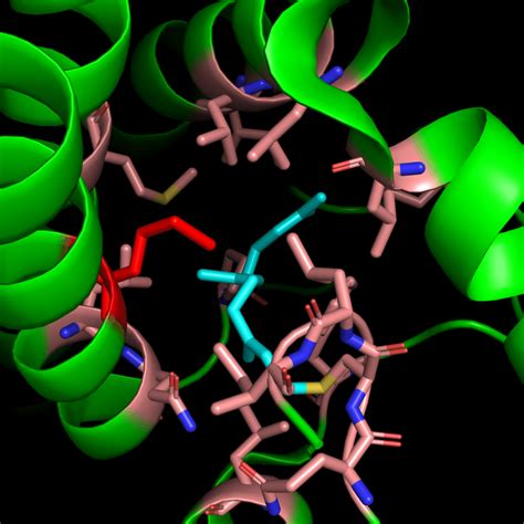 Pymol For Visualizing Polar Contacts Between Residue Of Interest And