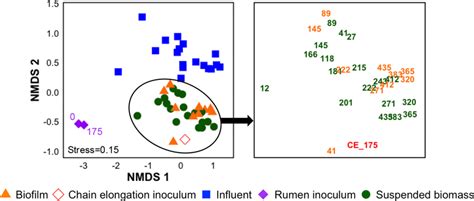 nmds ordination analysis at amplicon sequence variant asv level based