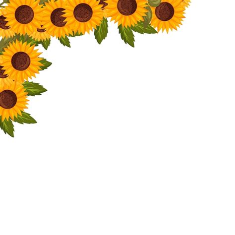 Moldura De Canto Quadrado De Primavera Com Flores De Girassol Borda De