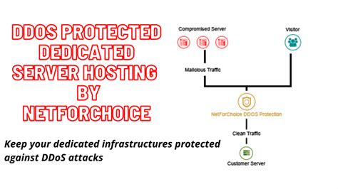 Get Ddos Protected Dedicated Server At Best Price Today