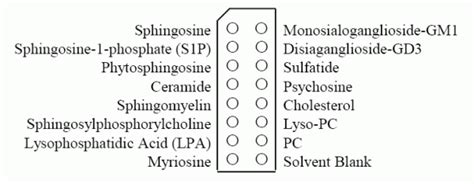 Sphingo Strips Lipid Protein Interaction Assay Echelon Biosciences