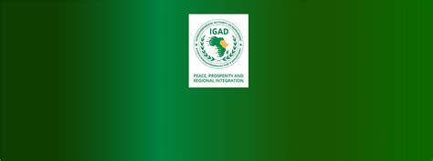 Eastern Africa Regional Digital Integration Project P176181 IGAD