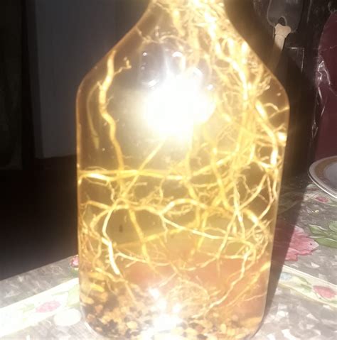 සරසි පොල්තෙල් නිෂ්පාදන