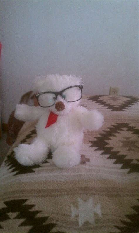 Nerd Bear Nerd Bear
