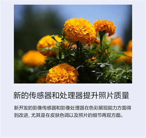 现货国行正品ilce 7sm3 A7m4全画幅微单4k视频相机a7sm3a7s3 A7m4 阿里巴巴