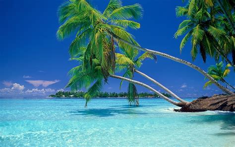 Nature Plages Plage