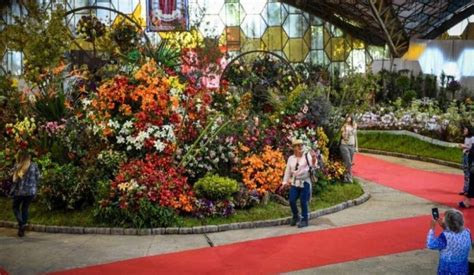 Arrancó la Fiesta Nacional de la Flor 2022 en Escobar Infogei