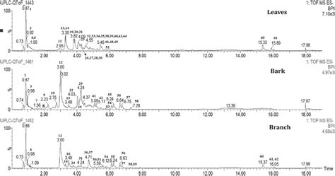 Typical Base Peak Intensity Bpi Chromatograms Showing The Profiles Of