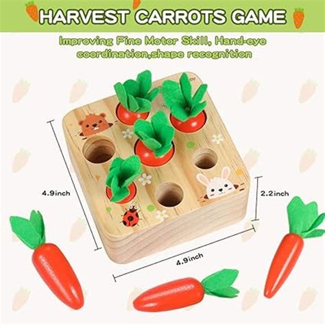 Carrot Harvest Shapes Size Sorting Major Toys