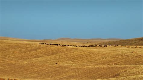 Discover Agriculture In Tajikistan A Story Driven Footage Artlist