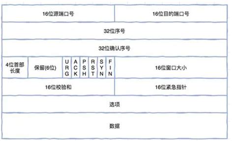 网络通信 传输层协议 UDP 和 TCP udp协议流程 CSDN博客