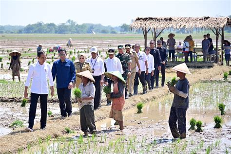 Kementerian Pendayagunaan Aparatur Negara Dan Reformasi Birokrasi Presiden Jokowi Tinjau