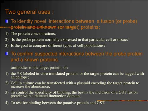 Ppt Detection Of Protein Protein Interactions Using The Gst Fusion Protein Pull Down Technique
