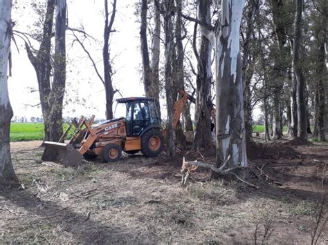 Los Detalles Del Lugar En El Que Buscan Los Restos De Paula Perassi