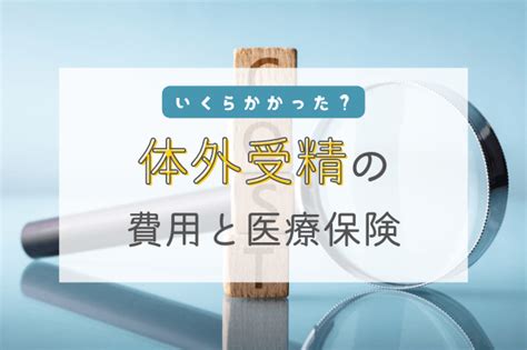 体外受精にかかった費用と医療保険～採卵編～