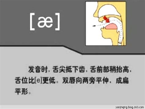 20个元音口型图word文档在线阅读与下载无忧文档