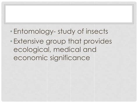 Ppt Phylum Arthropoda Subphylum Uniramia Hexapoda Powerpoint Presentation Id 6472047