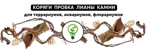 Коряги, лианы, пробка и камни для террариума.ОПТ | Здравствуйте! 2025 ...