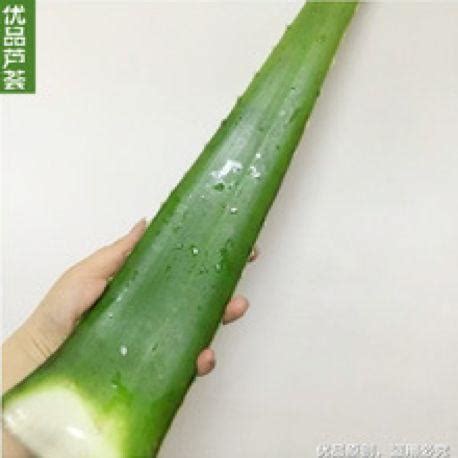 蘆薈直接擦臉會不會過敏很多人用完後悔當初不應該 每日頭條