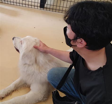 1 02整列：文字数に合わせてセル幅を自動調整する方法 Excel学習室