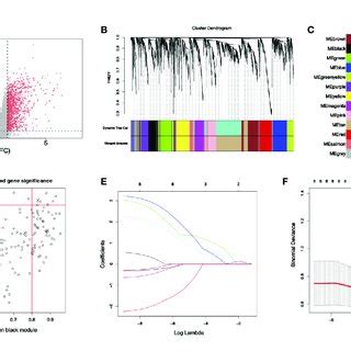 A Differential Gene Expression Analysis Blue Represents