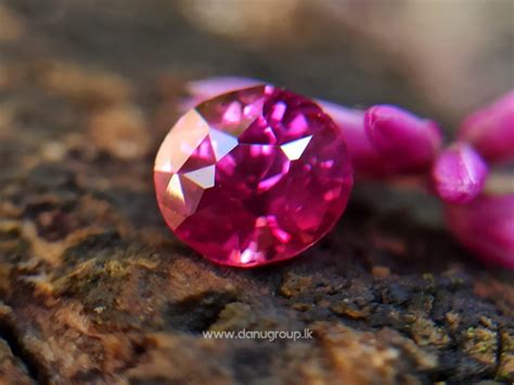 Ceylon Ruby Danu Group