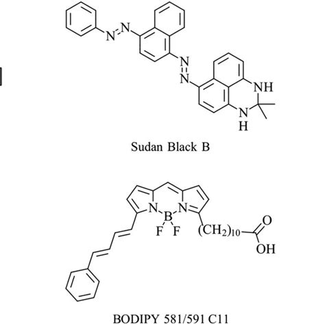 Chemical Structures Of Traditional Histochemical Dye Examples
