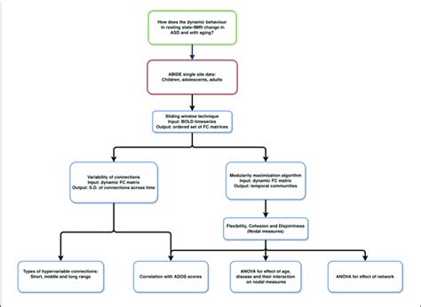 Pipeline Of The Analysis Resting State Fmri Data Used To Analyze