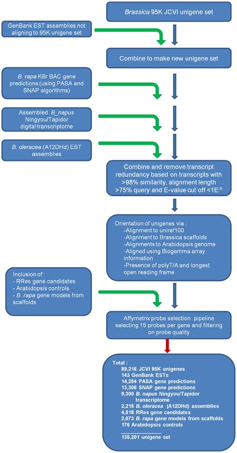 work flow of the affymetrix genechiph brassica exon 1 0 st array data