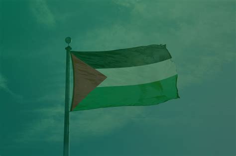 Donasi Palestina Namun Waspada Penipuan Dompet Dhuafa