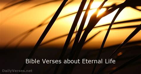 38 Bible Verses About Eternal Life