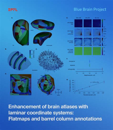 epfl blue brain project a swiss brain initiative on linkedin neuroscience brainmapping