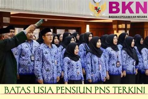 BKN Resmi Umumkan Inilah Aturan Batas Usia Pensiun PNS Golongan I II