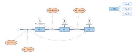 Lab Age Structured Insight Maker