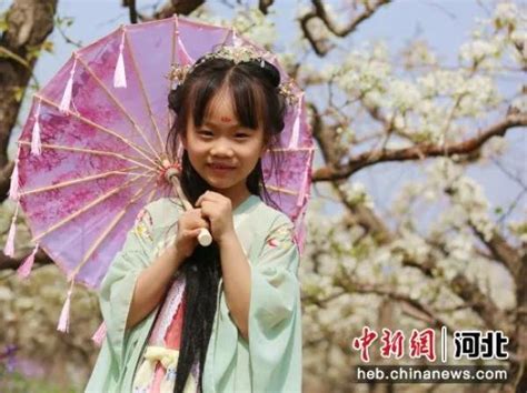 保定蠡县大百尺镇梨花汇开幕 澎湃号政务 澎湃新闻 The Paper