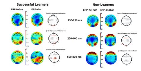 Scalp Maps For The Three Time Windows Of Interest Successful Learners Download Scientific